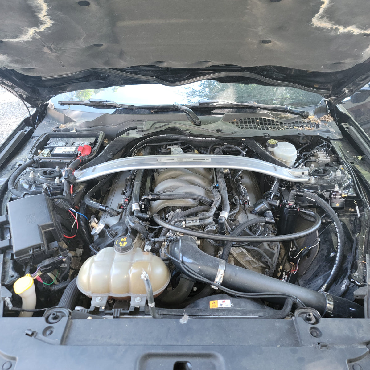 Mafia Low Buck Rear Mount Turbo Kit - (15-23 5.0L V8 Mustang) – Auto ...